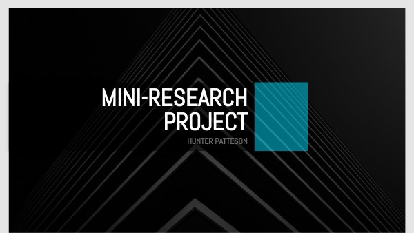 Mini Research Project