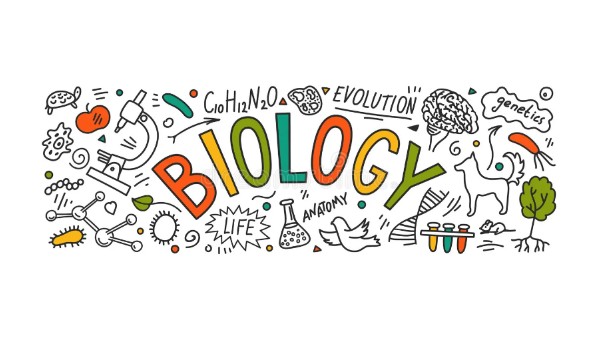 Intro Biology DP1 2024