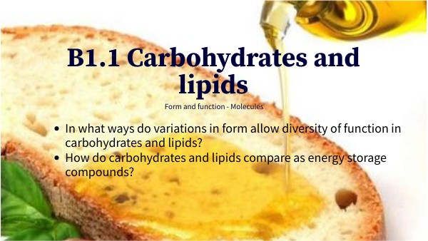 B1.1_Carbohydrates_and_lipids_SL | Genially