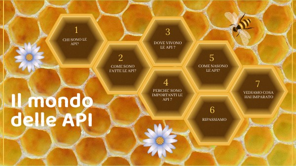 IL MONDO DELLE API