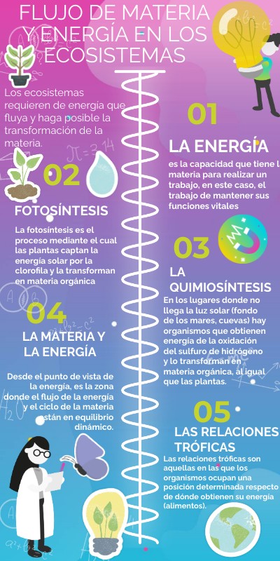Flujos de materia y energía | Genially