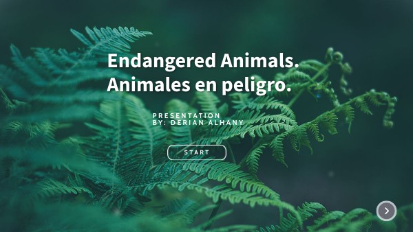 Endangered Animals Presentation | Genially