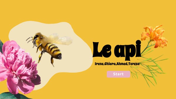 LE API PRESENTAZIONE