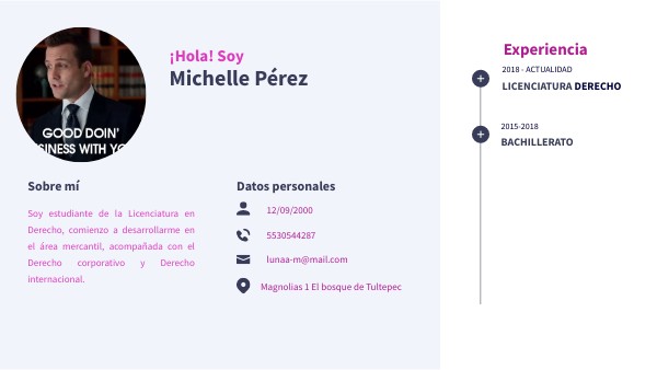CV BÁSICO MICHELLE LUNA