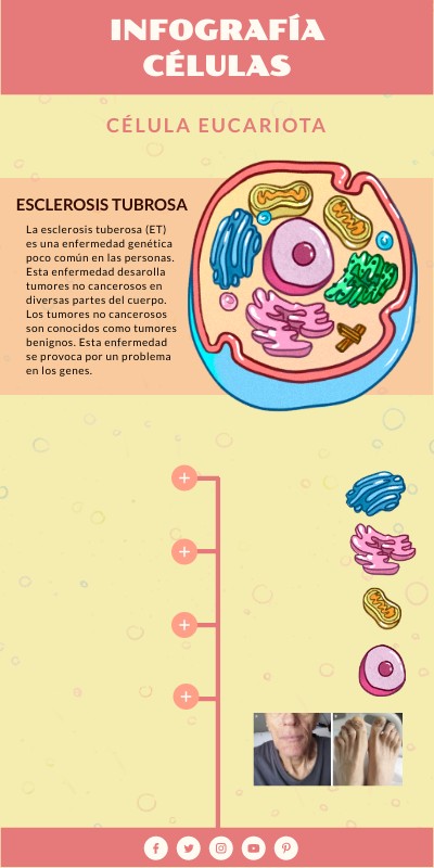 INFO VERTICAL CÉLULAS | Genially