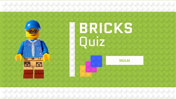 BRICKS QUIZ TEAM