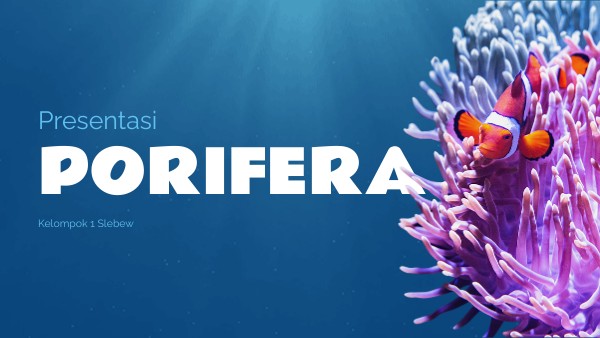 OCEAN PRESENTATION II