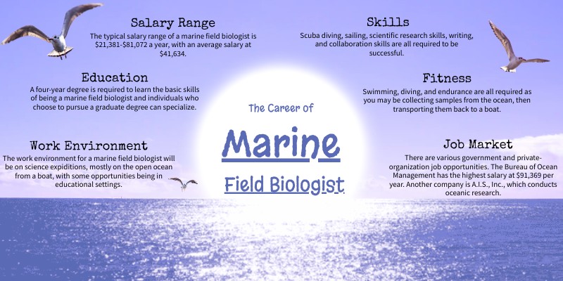 Marine_Field_Biologist