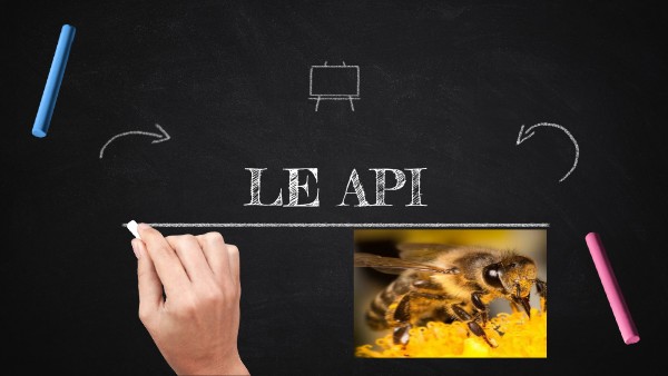 le api
