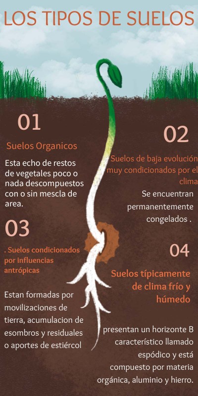 Infografias tipos de suelos | Genially