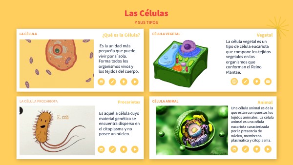 LA CÉLULAS Y SUS TIPOS | Genially