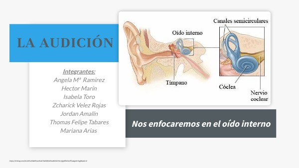 LA AUDICIÓN | Genially