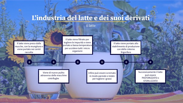 IL LATTE