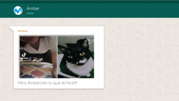 CHAT VIDEO | Genially