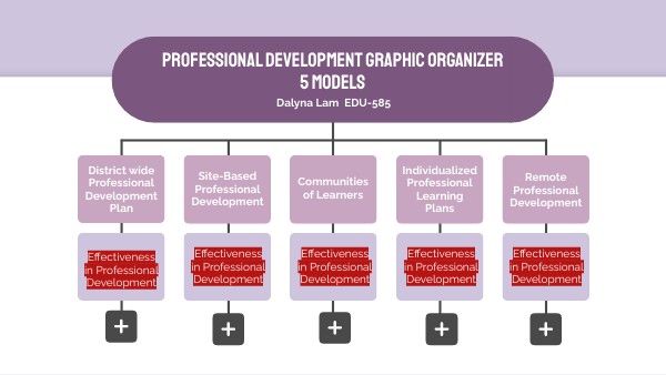 Professional Development Graphic Organizer