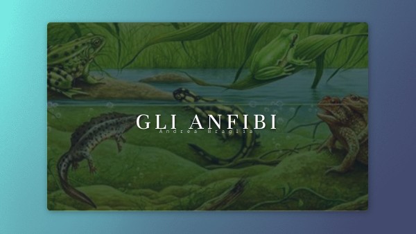 Gli anfibi