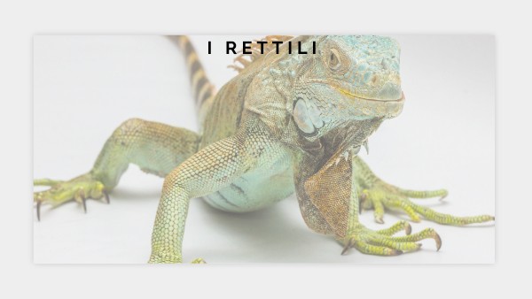 presentazione rettili | Genially