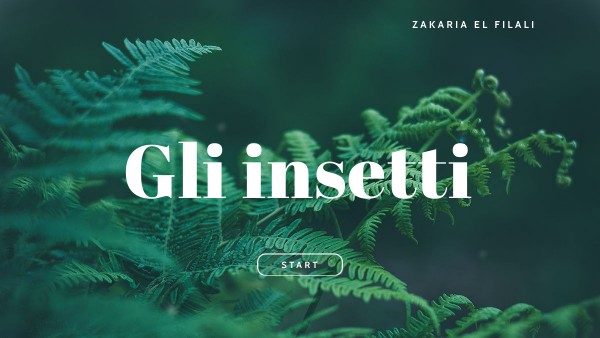 Gli insetti | Genially