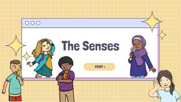 Science Year 1 Term 1 - The senses | Genially