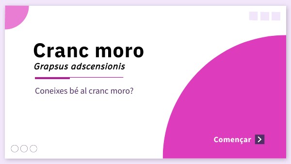 QÜESTIONARI CRANC MORO