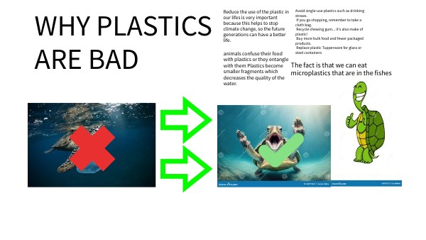 Presentación Esencial