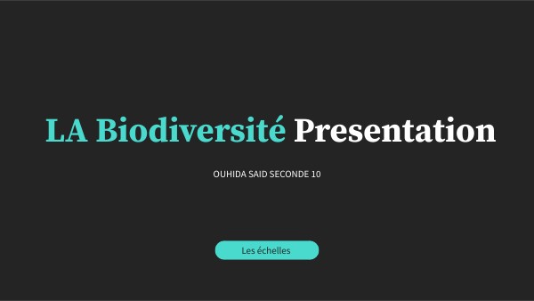 Présentation interactive basique