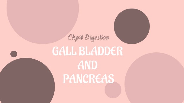 gall bladder and pancreas