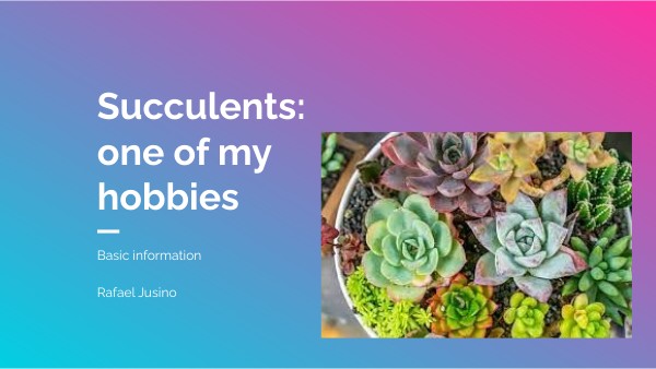 Succulent Presentation