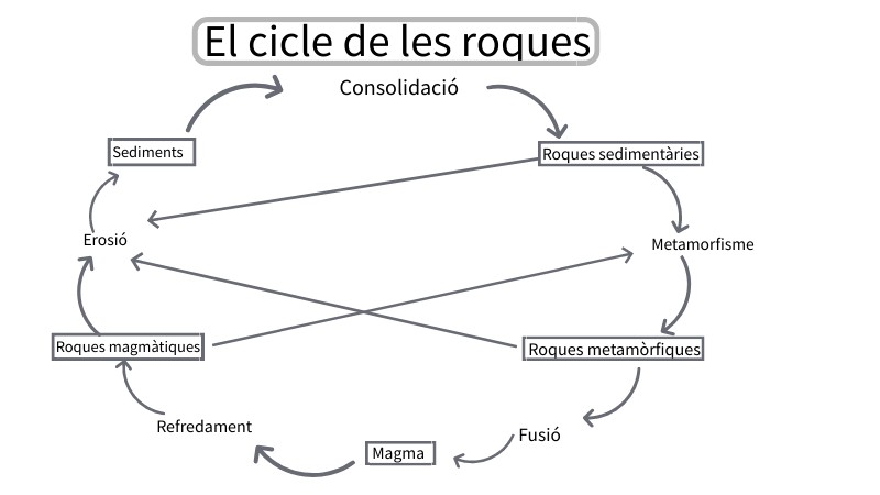 Diagrama. Cicle de les roques