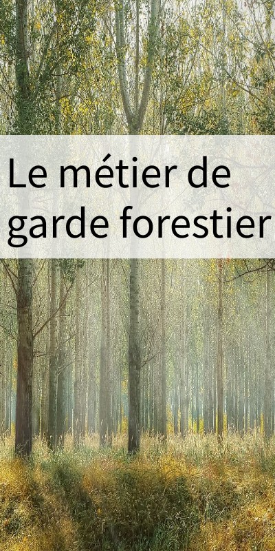 INTERACTIVE TREE