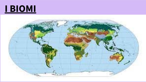 BASIC MAP | Genially