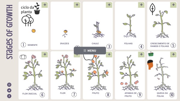 PLANT GROWTH STAGES | Genially