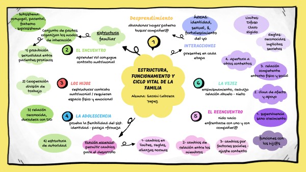 MAPA CONCEPTUAL ILUSTRADO