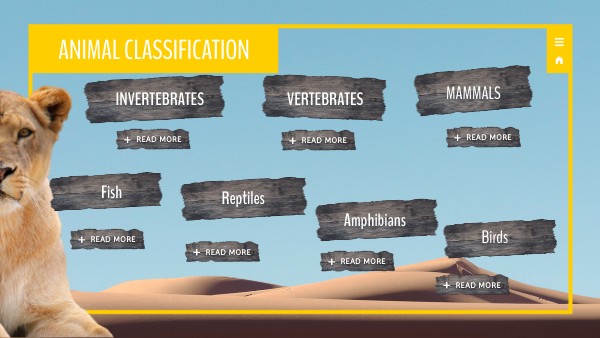 ANIMALS PRESENTATION