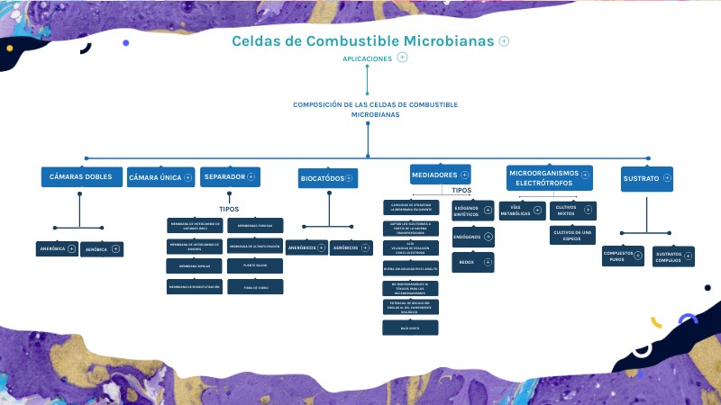 MAPA CONCEPTUAL CCMs | Genially