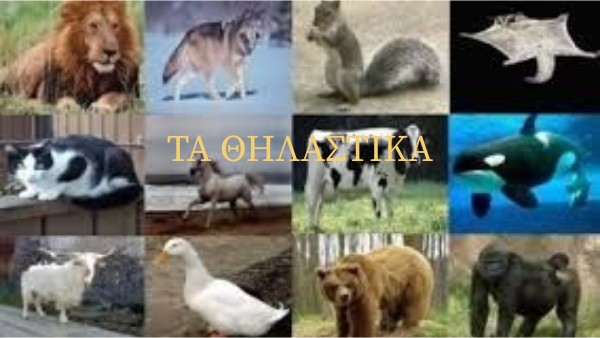 ΤΑ ΘΗΛΑΣΤΙΚΑ