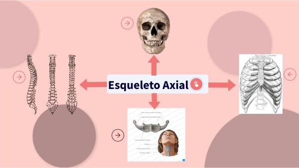 ESQUELETO AXIAL | Genially