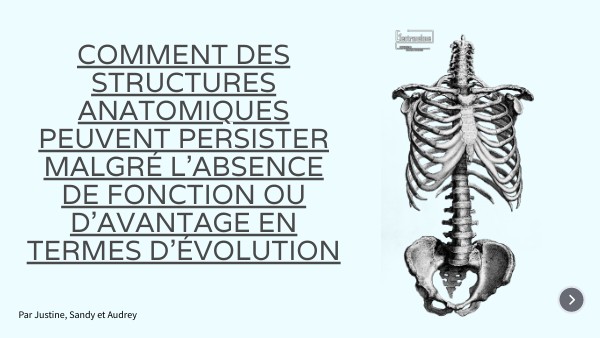 HUMAN BODY PRESENTATION