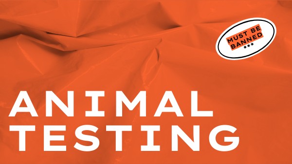 Animal Testing | Genially