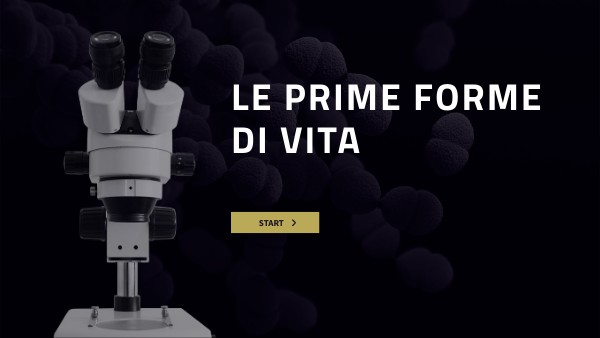 le prime forme di vita