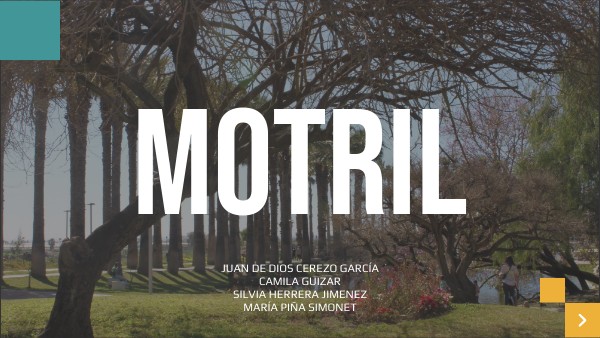 motril
