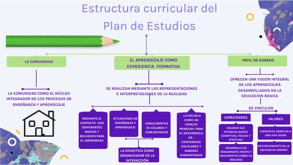 Estructura del plan de estudios | Genially