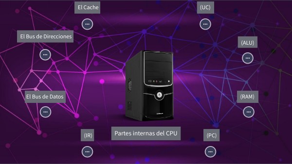 Partes internas del CPU | Genially