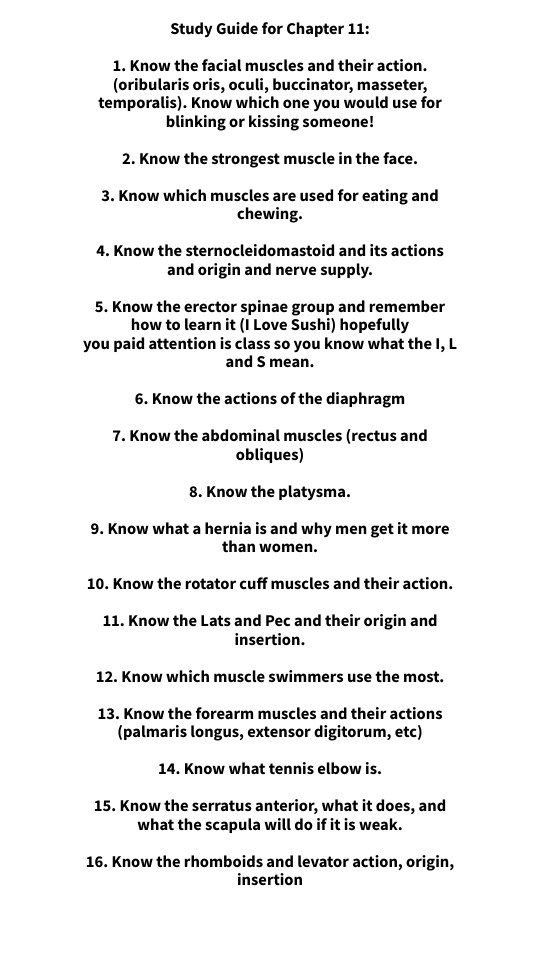 Chapter 11 Lecture Study Guide | Genially