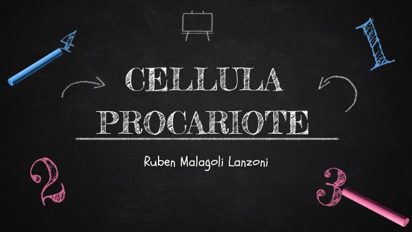 CELLULA PROCARIOTE