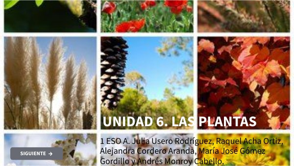 UNIDAD 6. LAS PLANTAS | Genially
