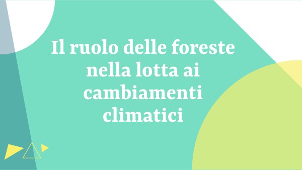 Il ruolo delle foreste nella lotta al cambiamento climatico | Genially