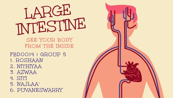 HUMAN BODY PRESENTATION