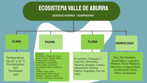 MAPA MENTAL ESQUEMA VERTICAL | Genially