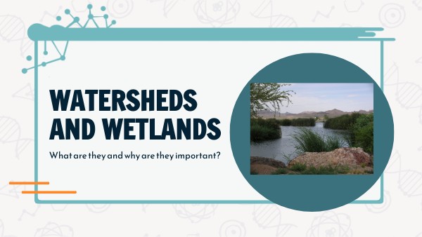 6th Grade Watershed and Wetland PRESENTATION